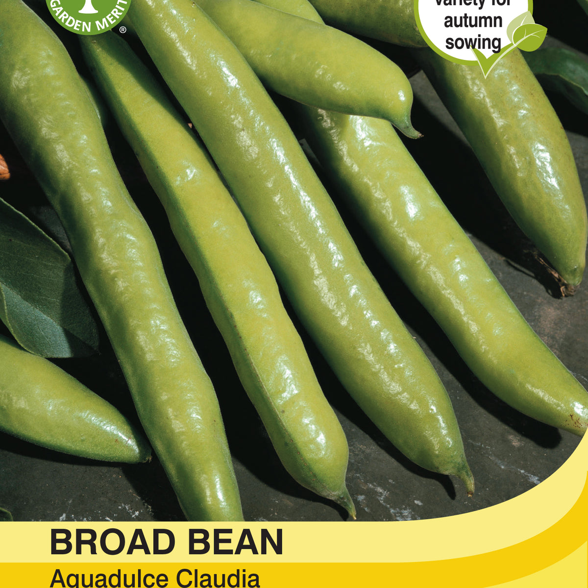 Thompson & Morgan - Broad Bean Aquadulce Caludia Seeds – Monahans Fuels ...