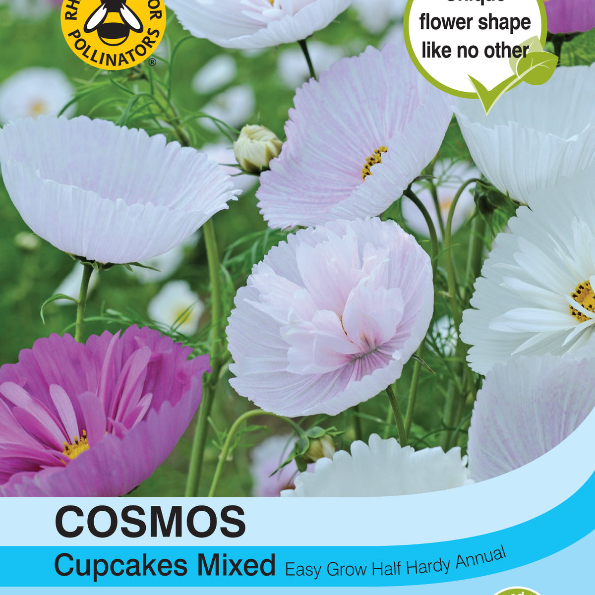 Thompson & Morgan - Cosmos Cupcakes - Mixed Seeds – Monahans Fuels and ...